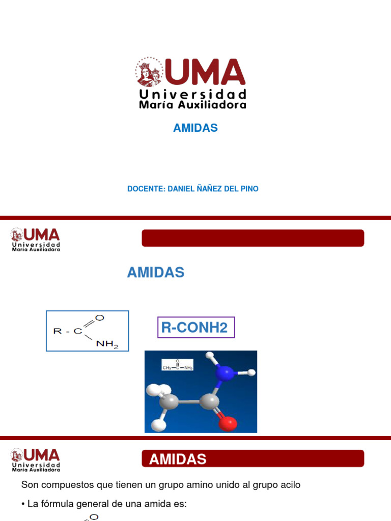 Clase Xii Amidas | PDF | Amida | Ácido