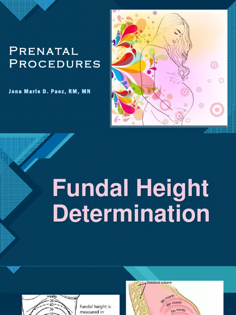 Prenatal Procedures | PDF | Anatomical Terms Of Motion | Mammalian ...