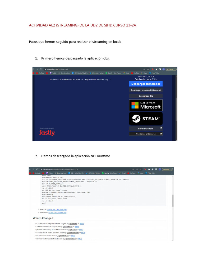 ACTIVIDAD AE2 Streaming | PDF | Streaming Media | Informática