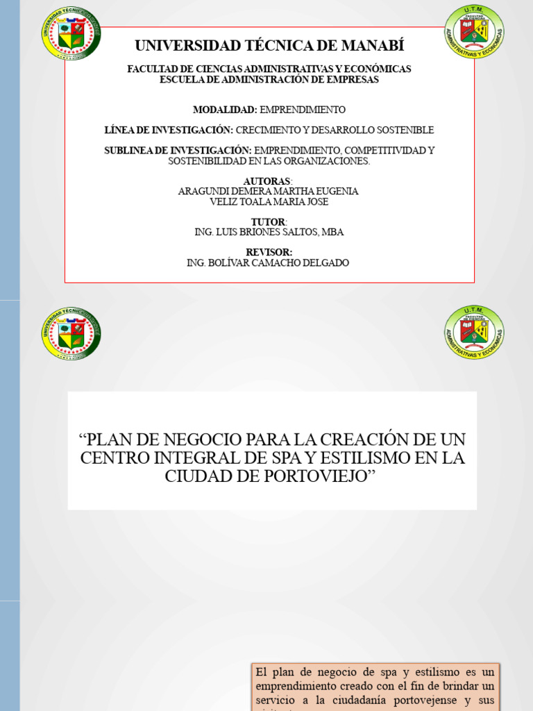 Sustentacion Final | PDF | Iniciativa empresarial | Marketing