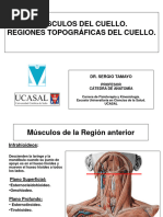 Músculos de La Nuca | PDF | Sistema musculoesquelético | Anatomía humana