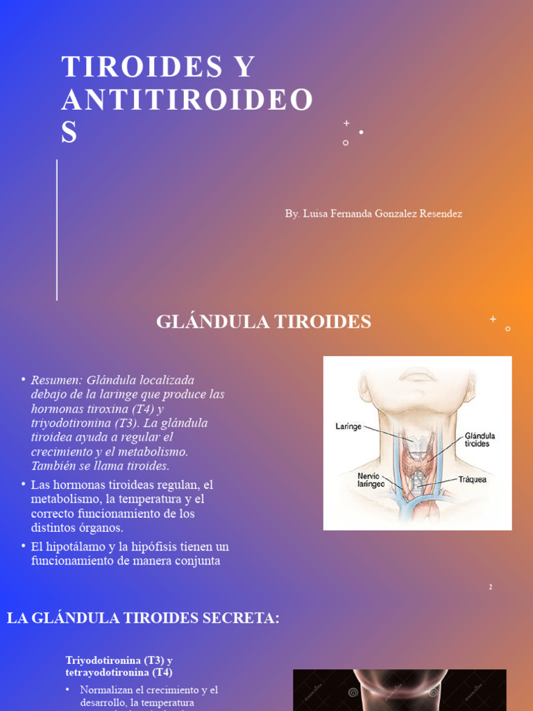 Tiroides y Antitiroideos | PDF | Tiroides | Hormona estimulante de la tiroides
