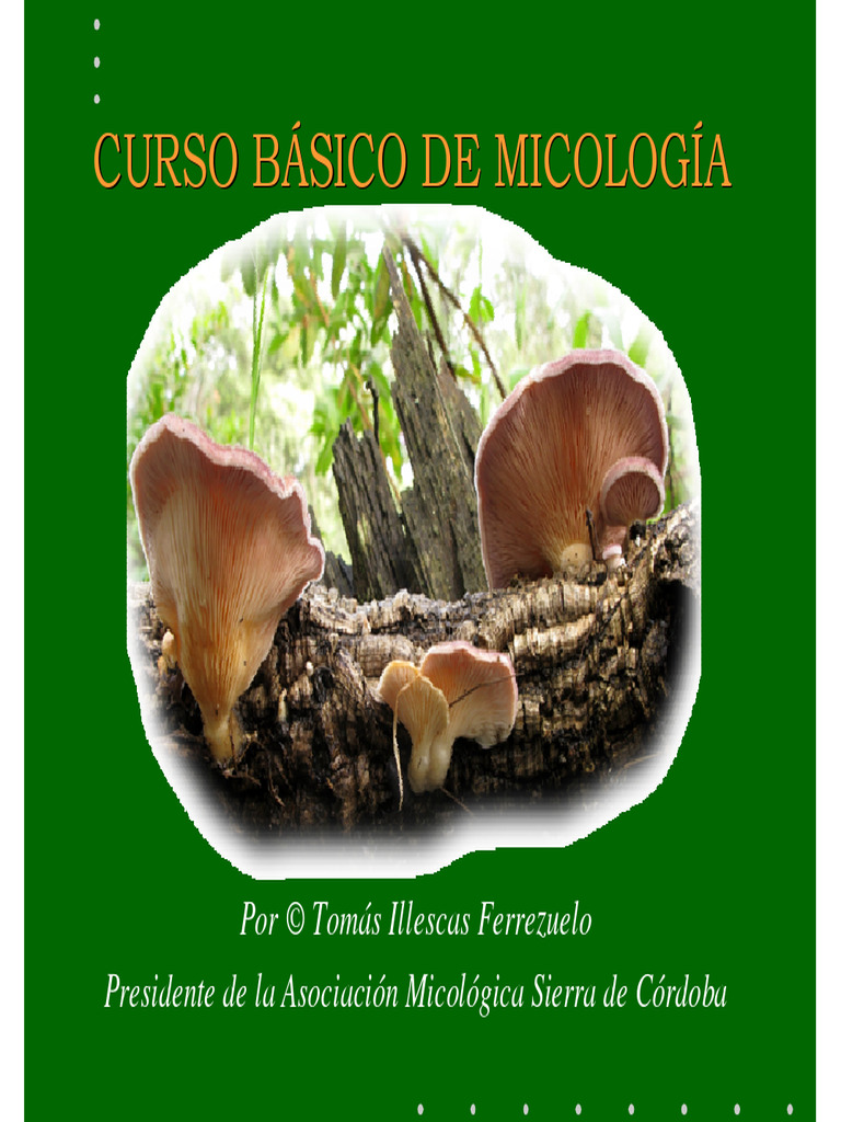 Curso Basico de Micologia 1parte | PDF | Hongo | Seta