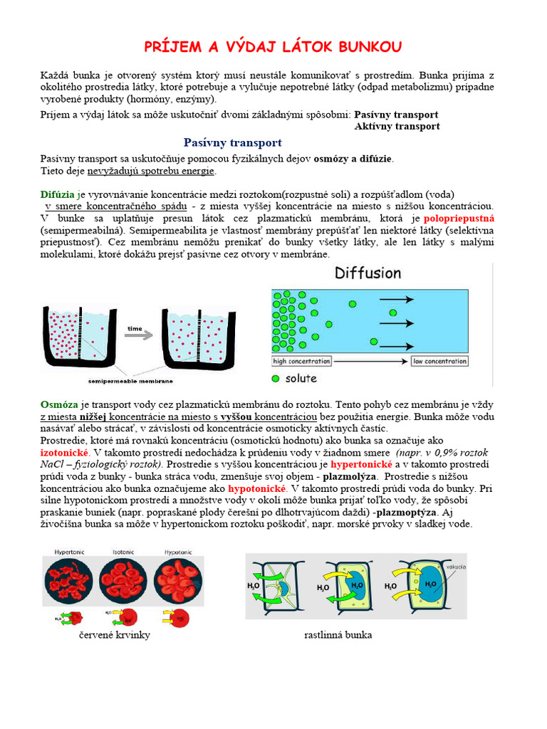 Príjem A Výdaj Látok Bunkou, Prenos Energie | PDF