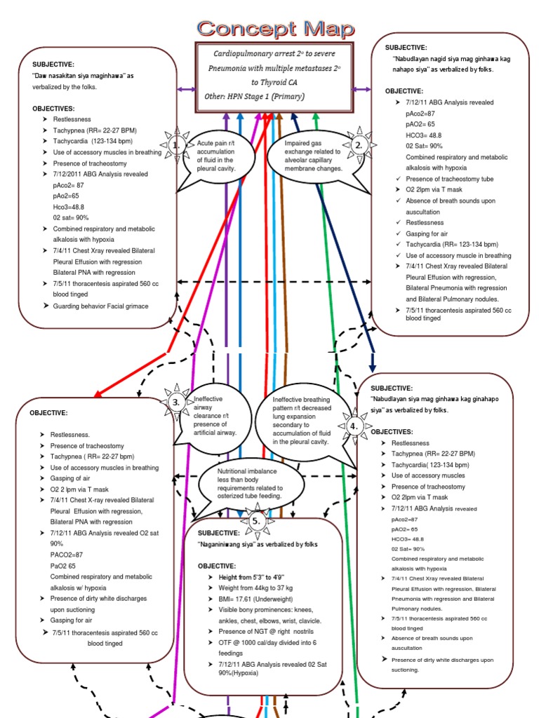 Concept Map | PDF | Respiratory System | Lung
