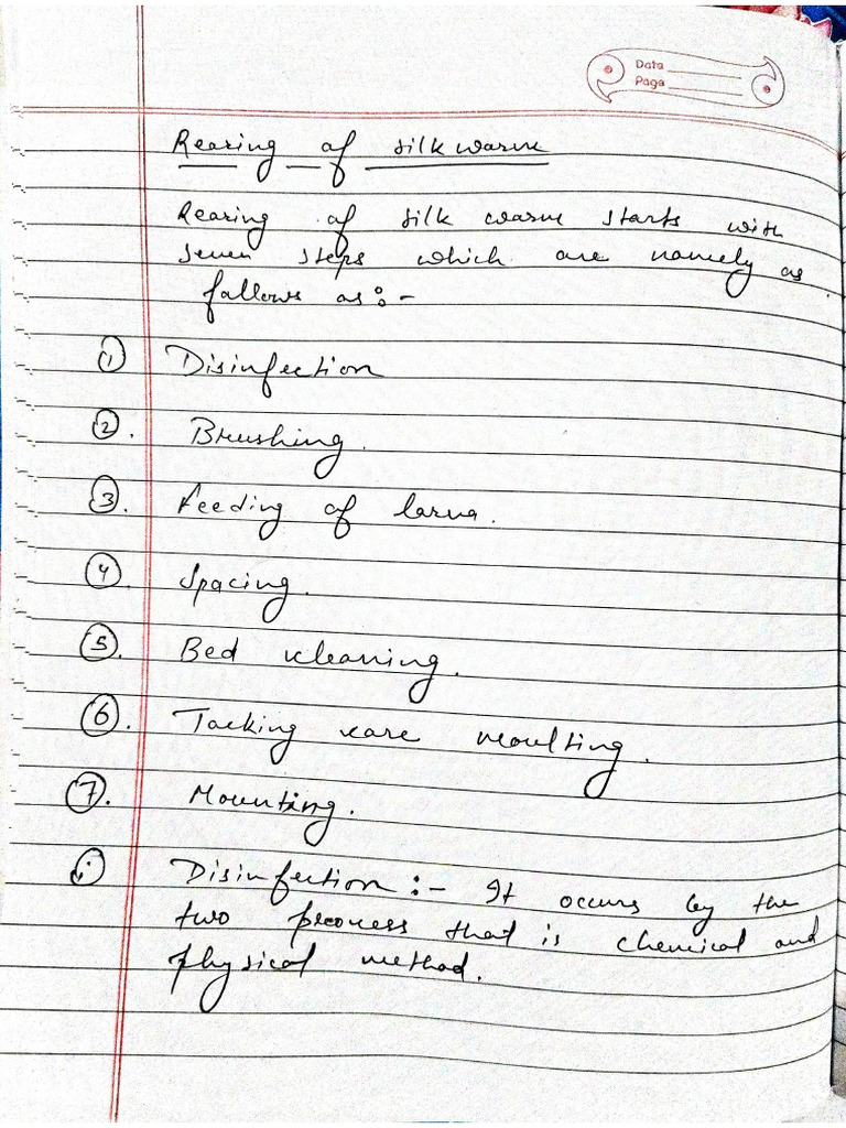 Honey Bees Life Cycle | PDF