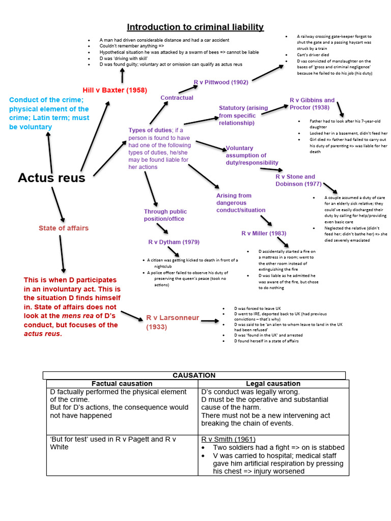 Introduction To Criminal Liability | PDF | Mens Rea | Causation (Law)