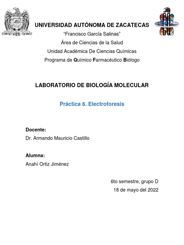 Práctica Electroforesis | PDF | Electroforesis | Ultravioleta