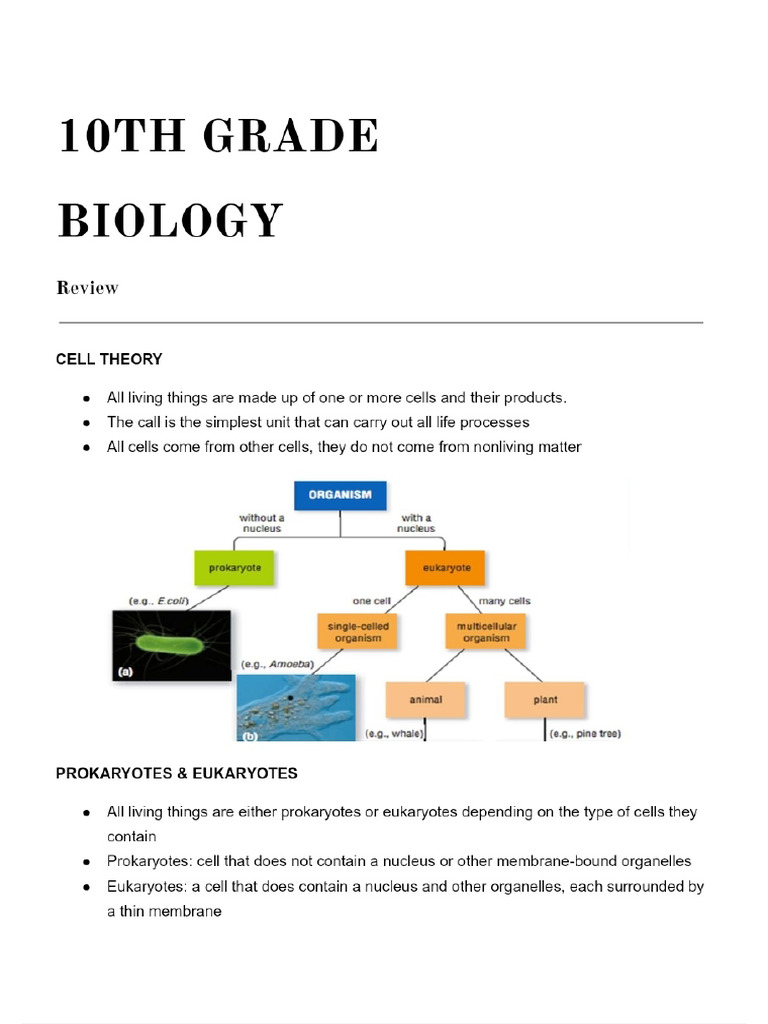 Biology Grade 10 Notes | PDF