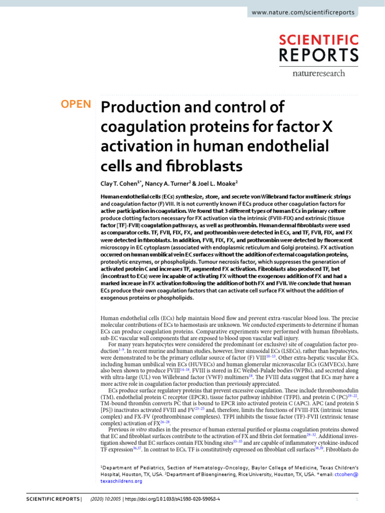 Production and Control of Coagulation Proteins For Factor X Activation ...