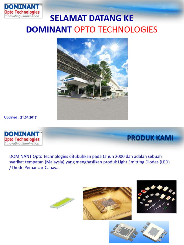 Company Profile DOMINANT | PDF