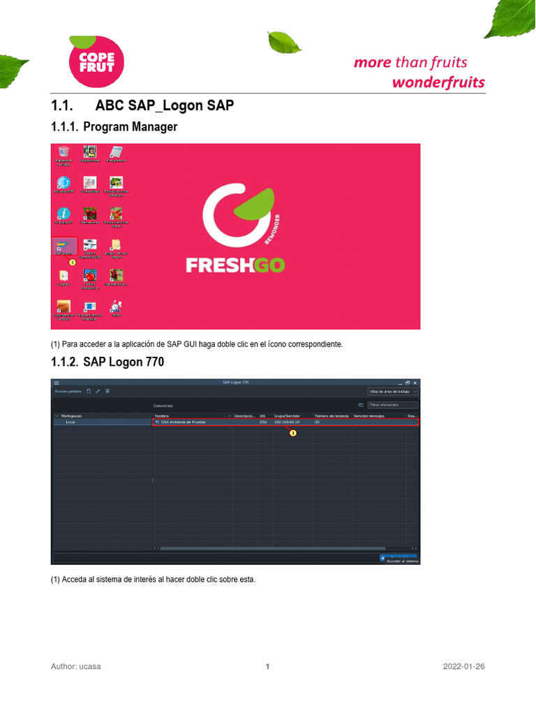 Guía de Acceso a SAP Logon 770 | PDF