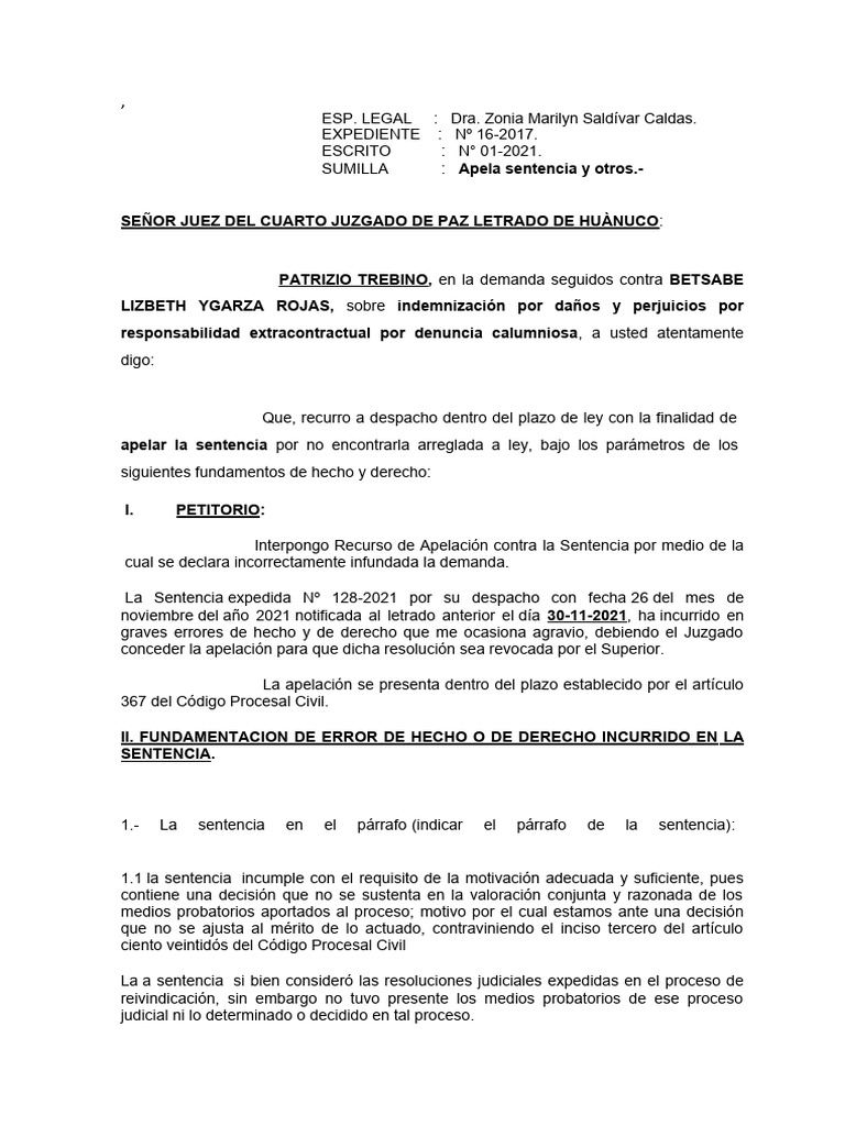 APELACION DE SENTENCIA | PDF | Sentencia (ley) | Apelación