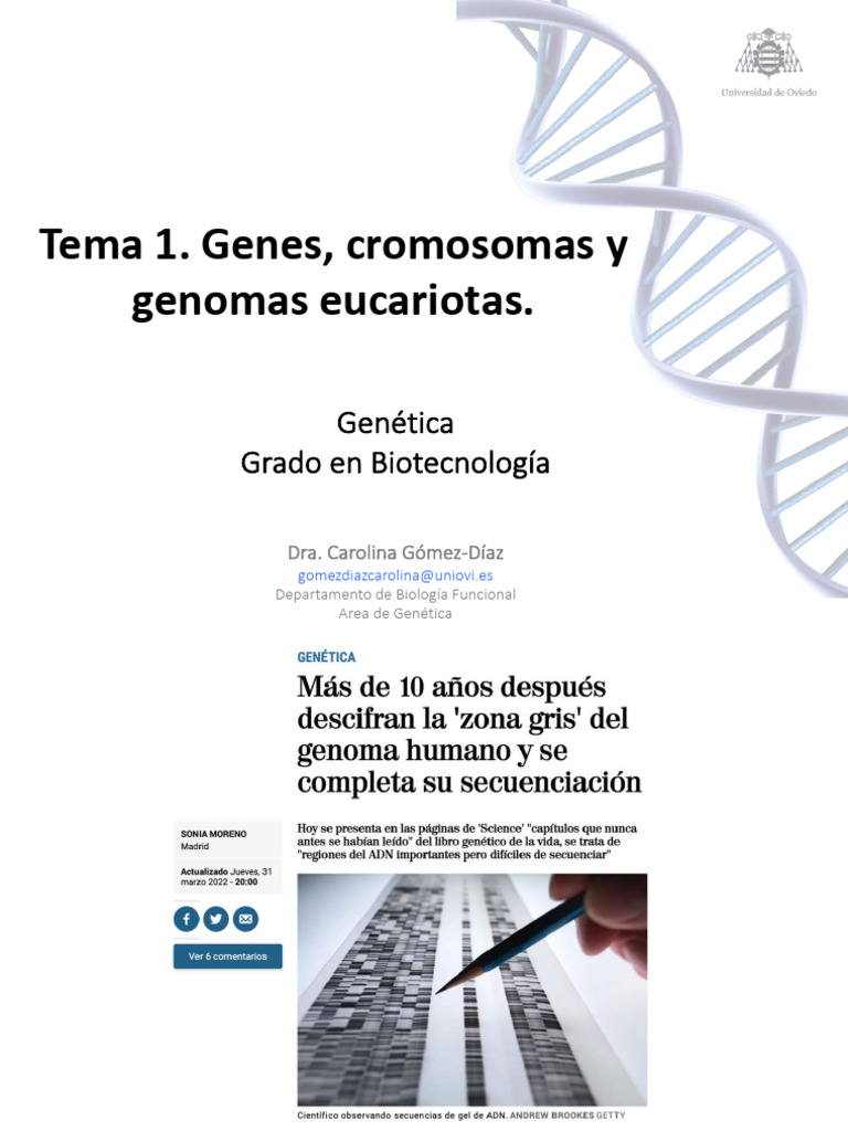 Conceptos Clave en Genética Eucariota | PDF | Adn | Codigo genetico