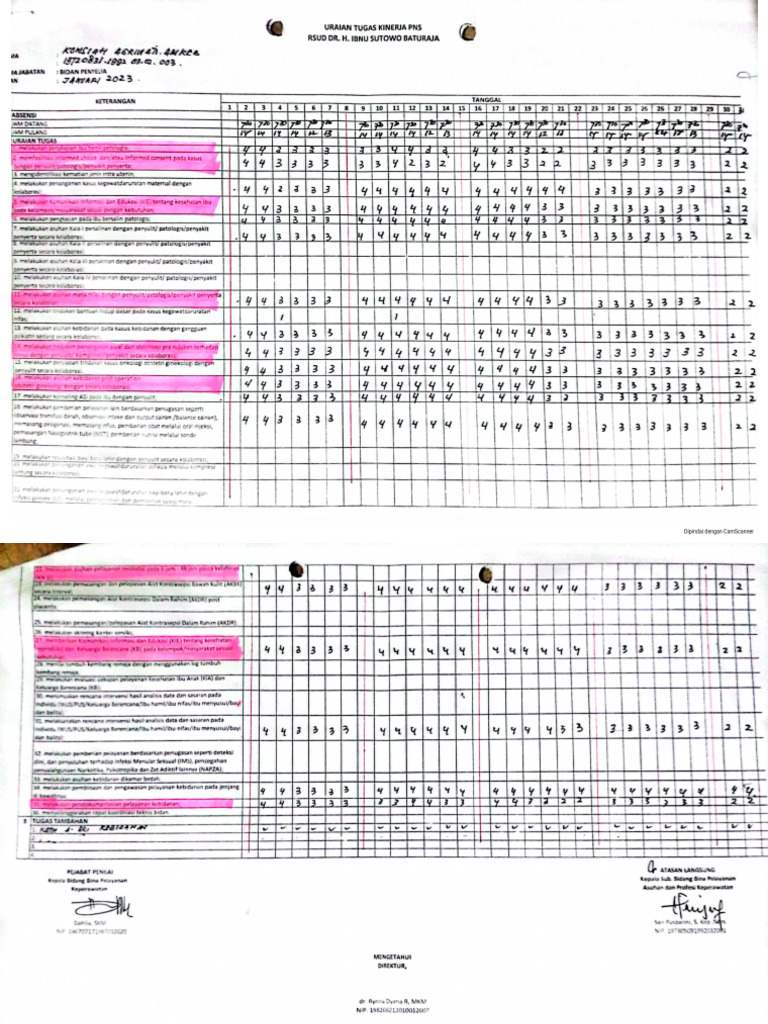 Uraian Tugas Kinerja PNS | PDF