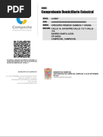 Formato - Dge FT 01 | PDF | Privacidad de la información | Justicia