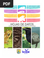Biografía de Doris Troutman Plenn | PDF
