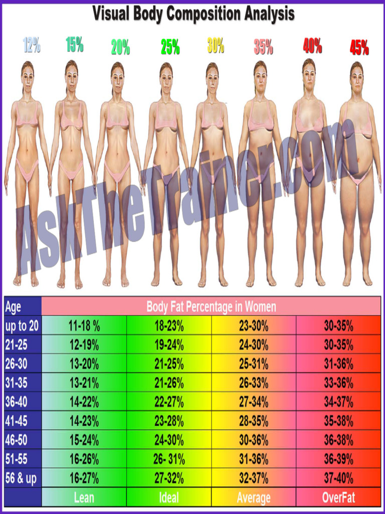 Visual Body Fat Analysis Chart Women | PDF
