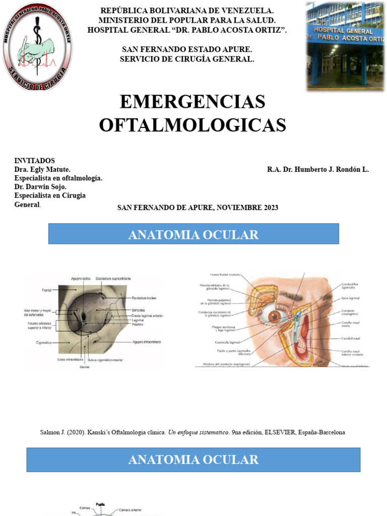 Trauma Ocular: Diagnóstico y Tratamiento | PDF | Oftalmología ...