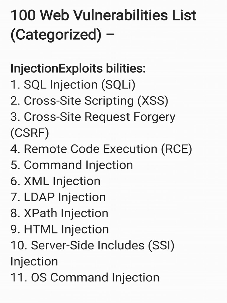 100 Web Vulnerabilities List (Categorized) _ Checklist | PDF