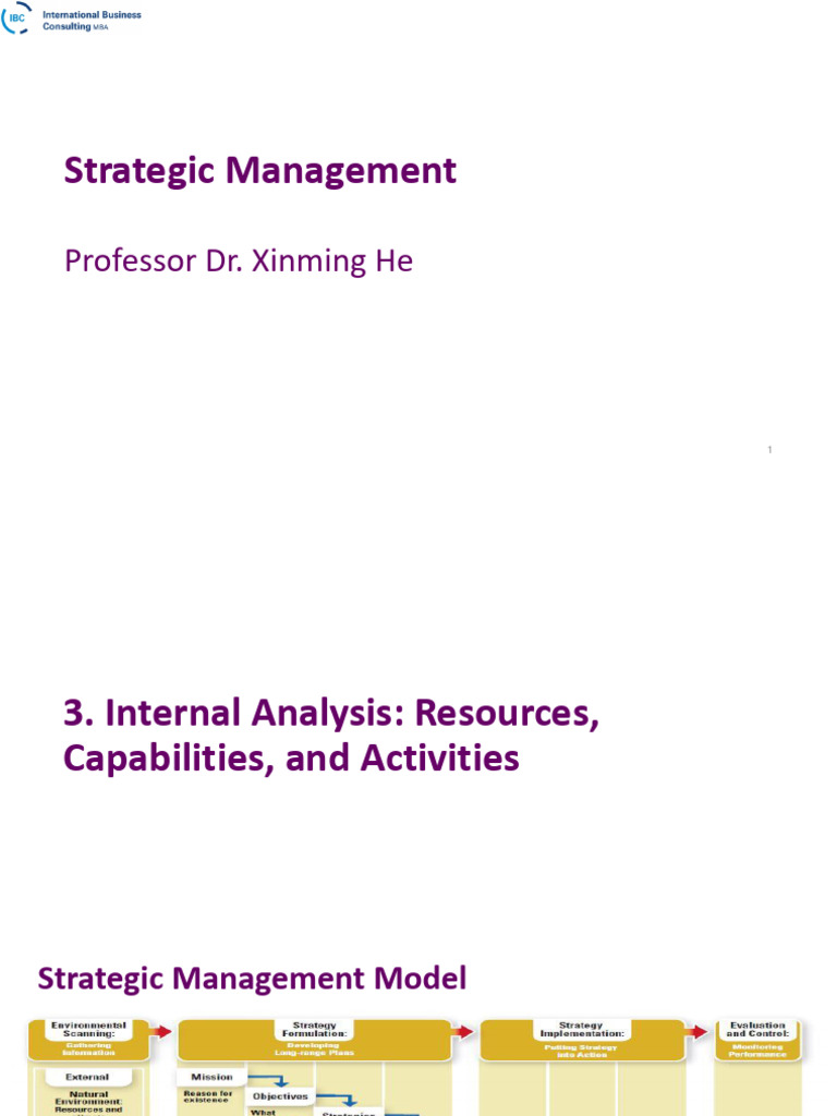 Internal Analysis - Resources, Capabilities, and Activities | PDF ...