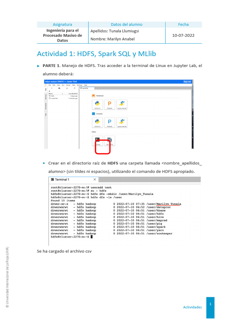 Tunala Marilyn Act1 Procesado | PDF | Software | Informática