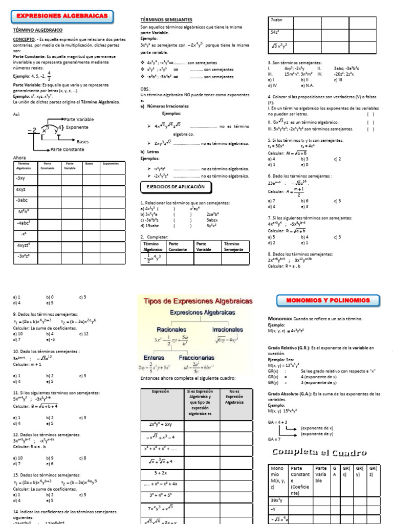 Término Algebraico | PDF | Matemáticas De La Computación | Ciencia computacional
