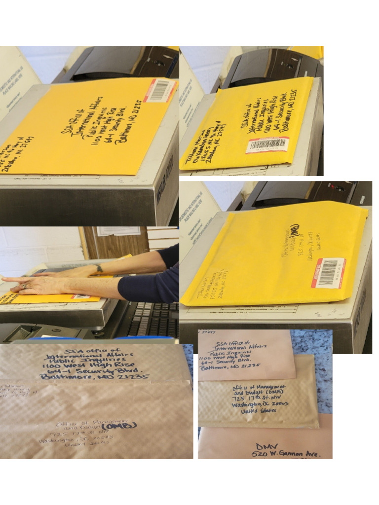 Status Correction Docs | PDF