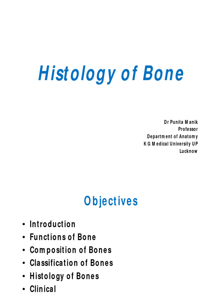 Bone Histo Pdf Bone Osteoblast