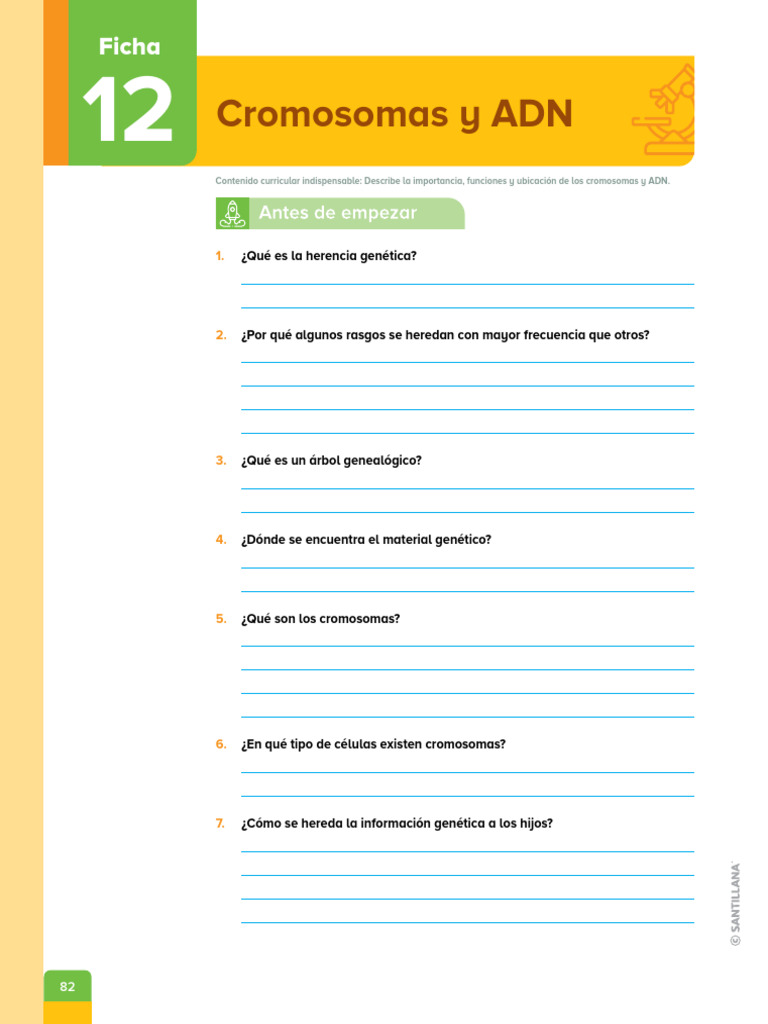 Secpfcien2fislaf 12 | PDF | Adn | Cromosoma