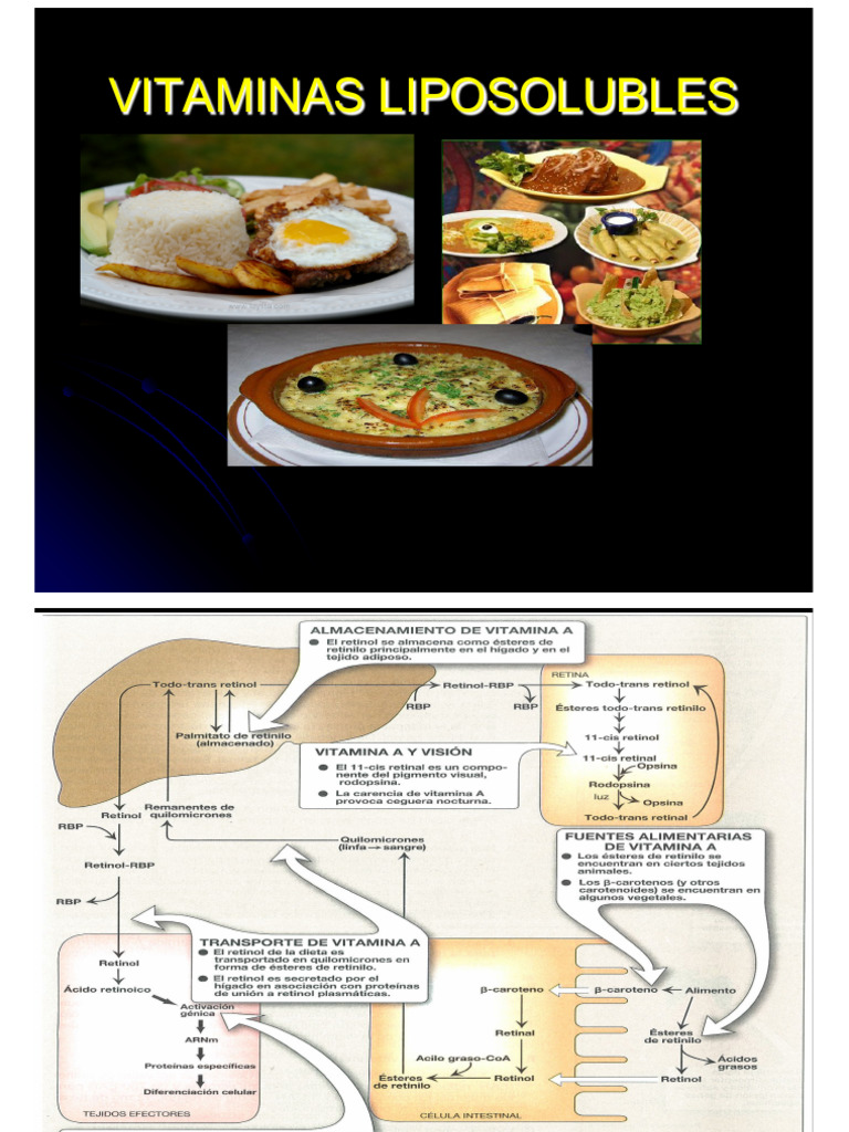 Vitaminas Liposolubles: Funciones y Carencias | PDF | Vitamina D ...