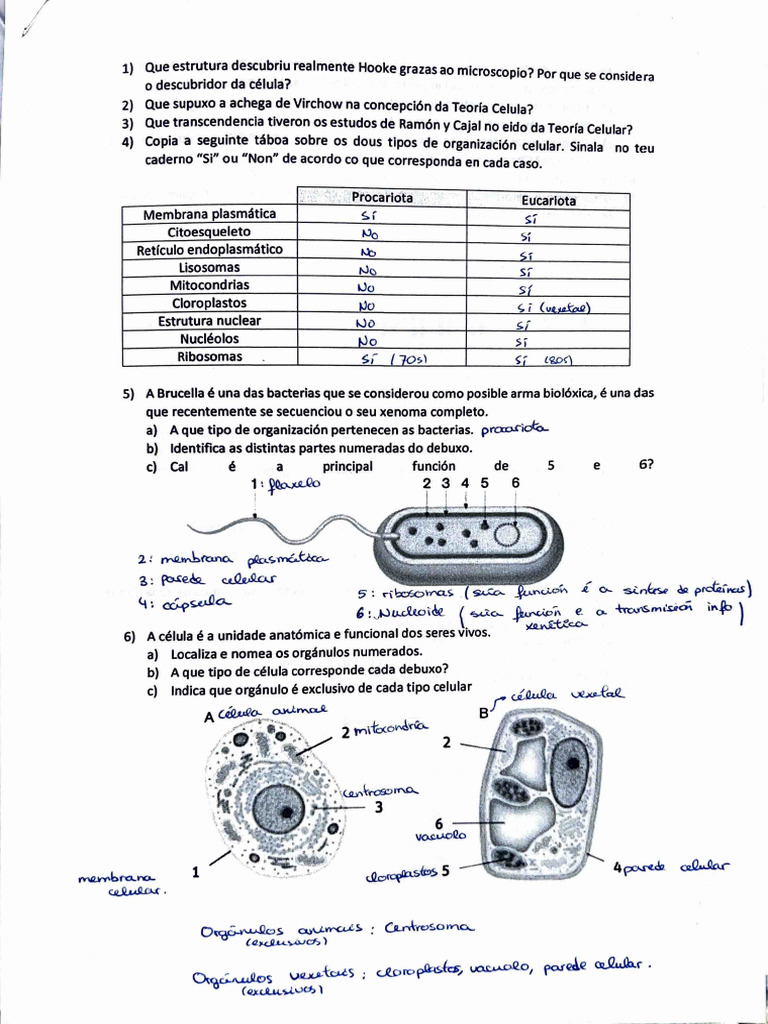 Boletin 8 Bio 22-23 | PDF