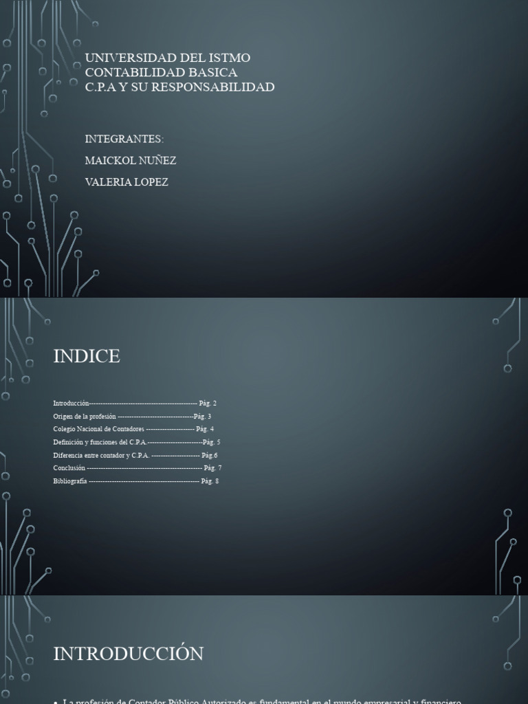 Presentacion Contabilidad 2 Pdf Contador Auditoría