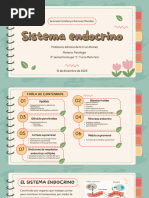 Clasificación de Bockus | PDF | Abdomen | Inflamación
