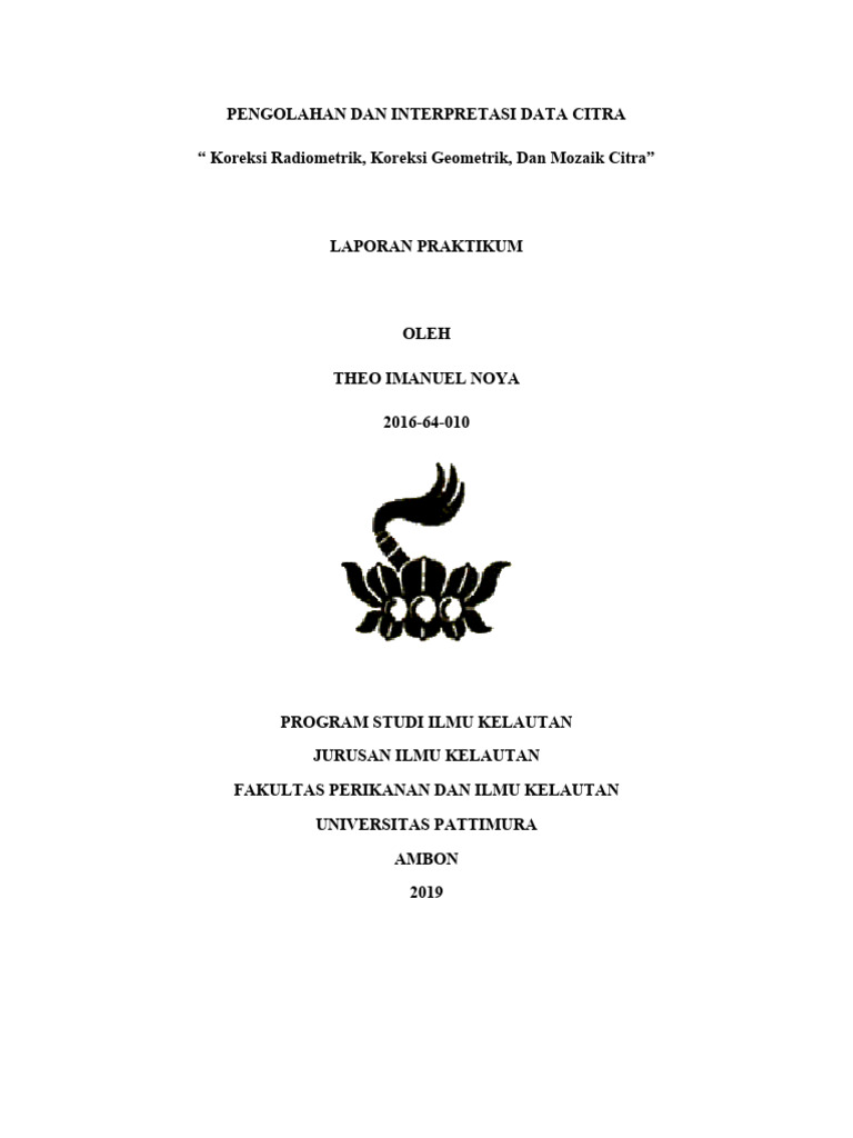 Pengolahan Dan Interpretasi Data Citra 3 | PDF | Metode & Bahan Ajar | Sains & Matematika