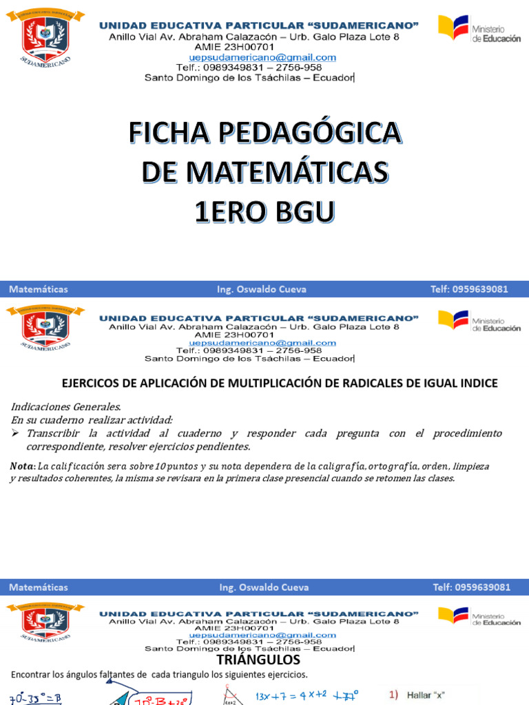 FICHA PEDAGÓGICA DE MATEMÁTICAS 1ERO BGU Enero 2024-1 | PDF | Vector Euclidiano | Álgebra
