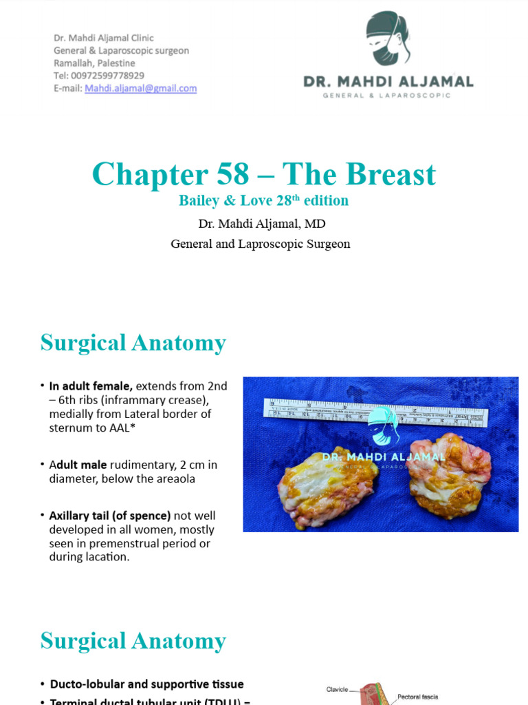 Breast | PDF | Breast | Breast Cancer
