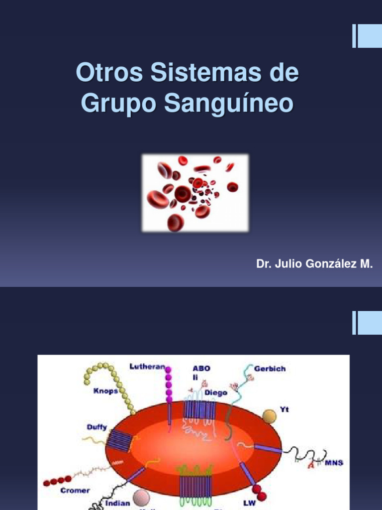 Sistemas De Grupo Sanguíneo | Clasificación De Los Grupos Sanguíneos – Braun Papenburg