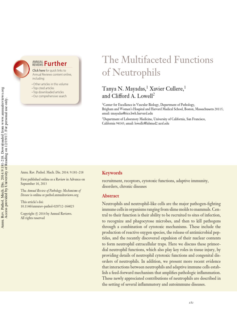 The Multifaceted Functions of Neutrophils | PDF | Immune System ...