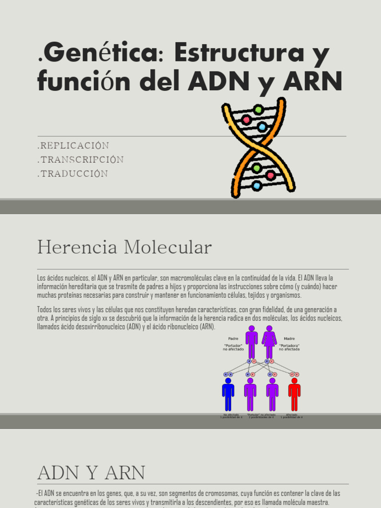 Genética PDF | PDF | Rna | Adn