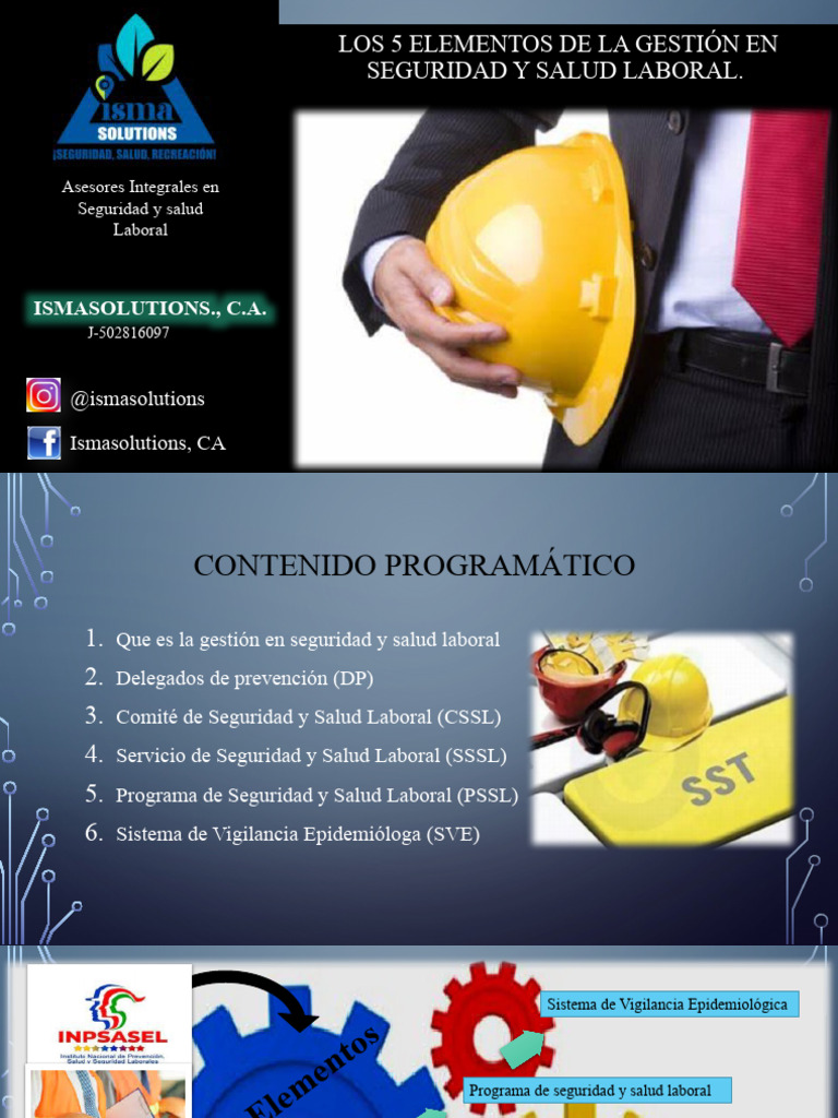 Los 5 Elementos de La Gestión en Seguridad y Salud Laboral | Descargar gratis PDF | Seguridad y ...