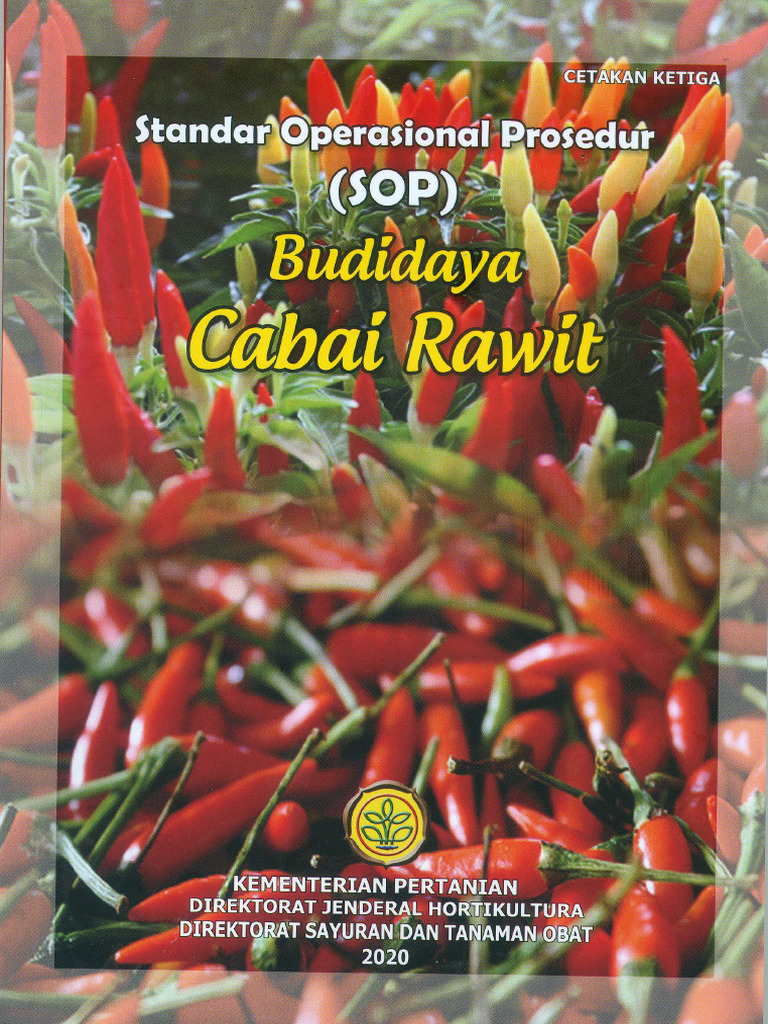 Standar Operasional Prosedur Budidaya Cabai Rawit0001 | PDF