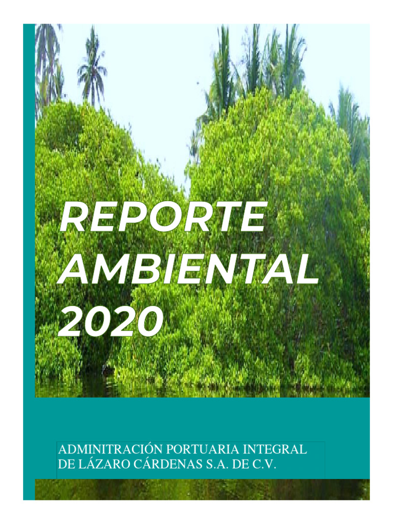 Informe Ambiental 2020 | PDF | Residuos | Entorno natural