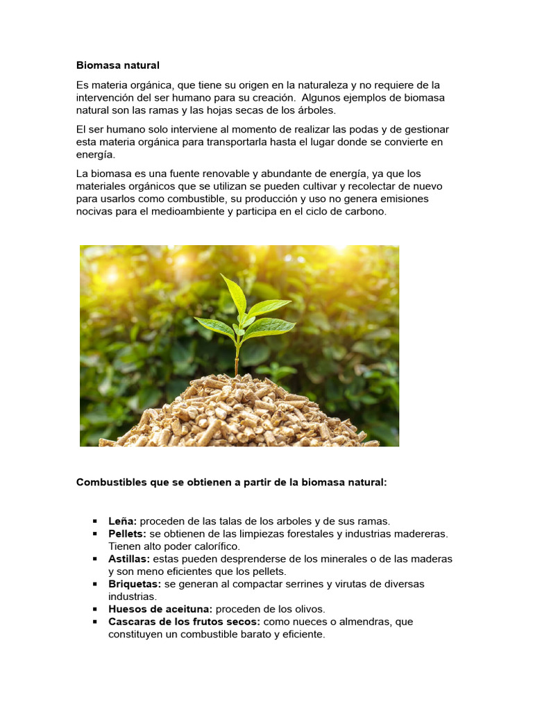 Biomasa Natural | PDF