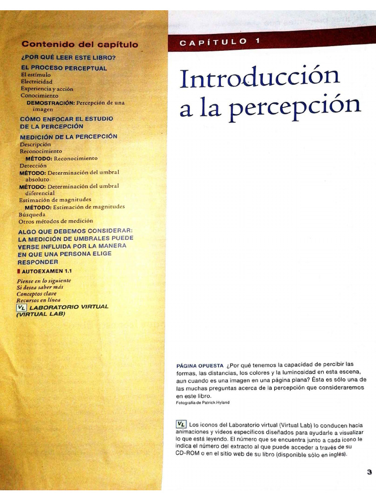 Capítulo 1 Introduccion A La Percepción | PDF