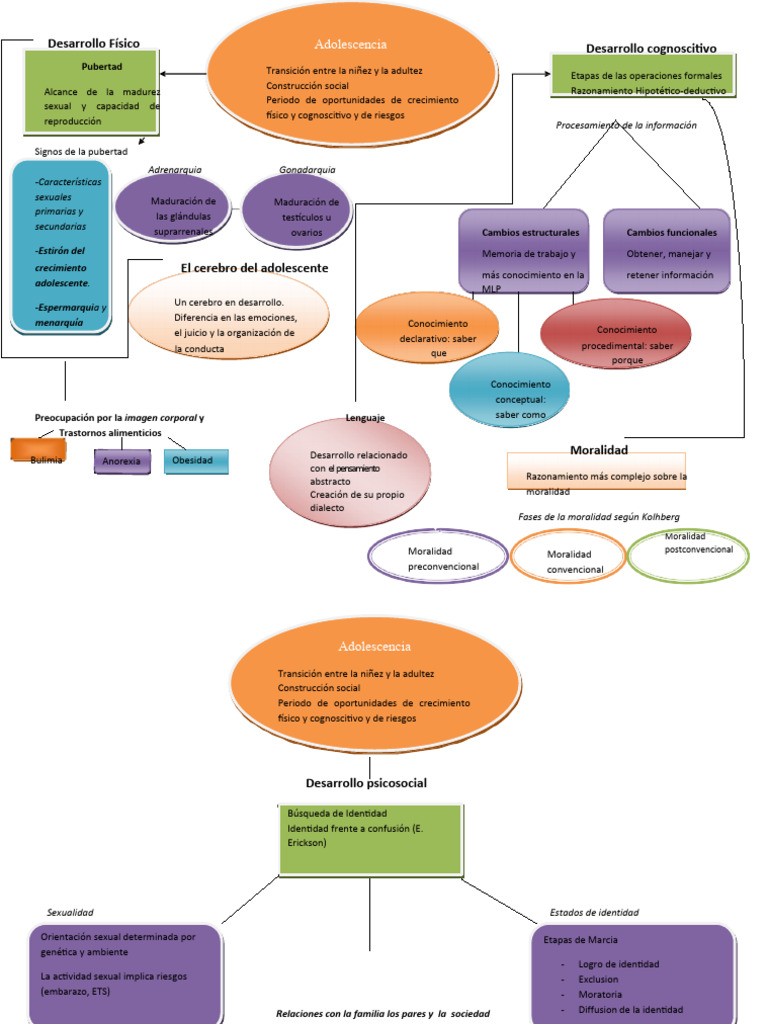 Desarrollo Adolescente: Físico, Cognitivo y Psicosocial | PDF | Adolescencia | Adultos