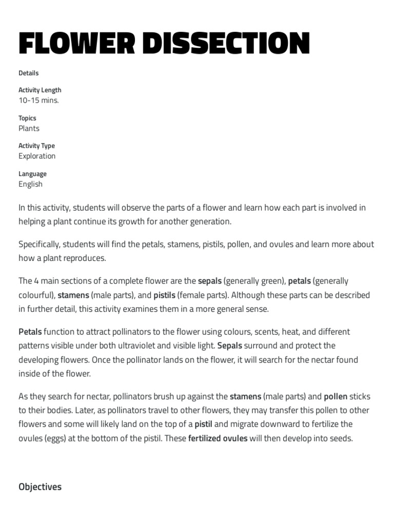 Flower Dissection - Science World | PDF | Flowers | Petal