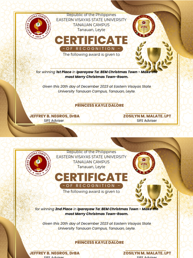 Certificate of Recognition | PDF