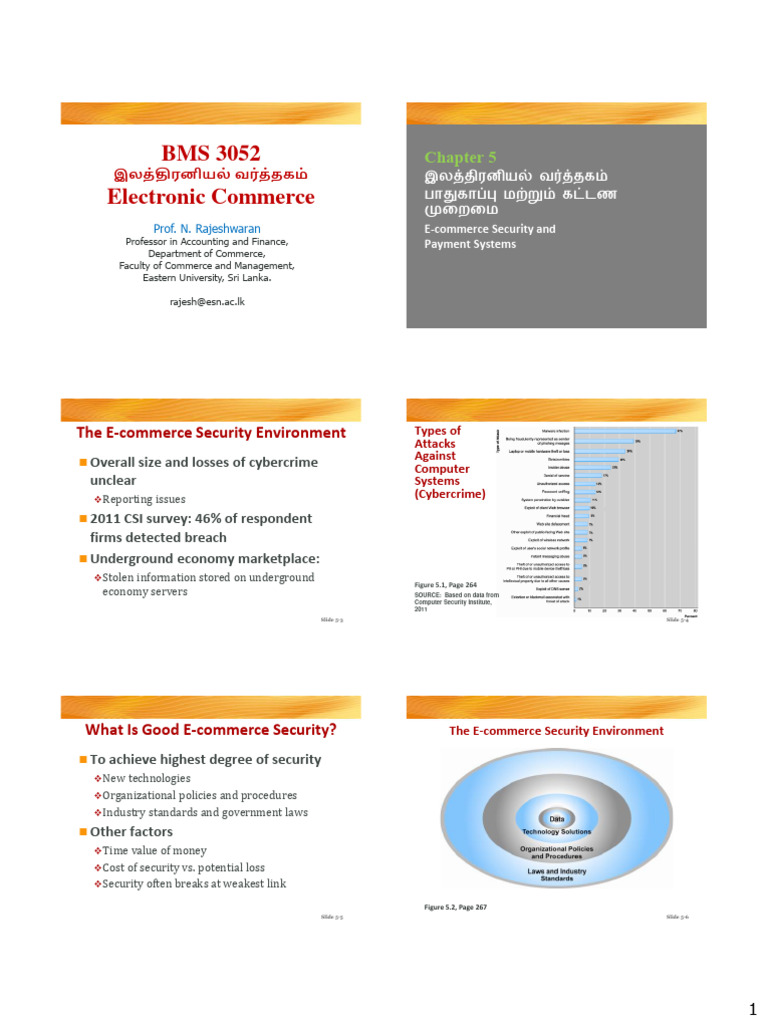 E-commerce Security and Payment Systems | PDF | Public Key Cryptography ...