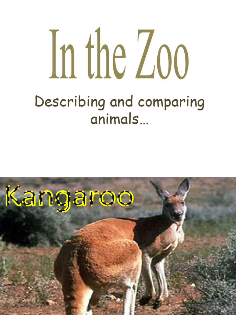 COMPARATIVES - Comparing Animals | PDF